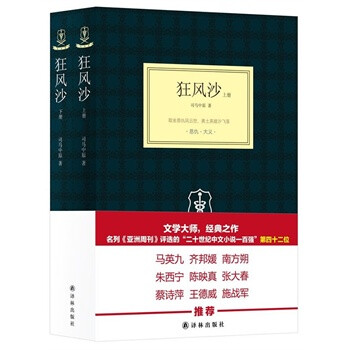狂风沙下册一本