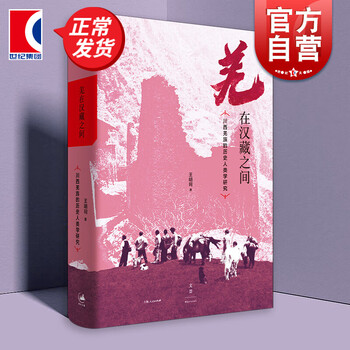 2021新版 羌在汉藏之间:川西羌族的历史人类学研究 王明珂 著 世纪文景 上海人民出版社