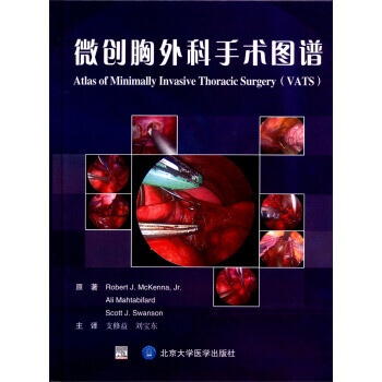 微创胸外科手术图谱 Robert J.McKenna,Jr.,Ali Mahtabifard,Sco
