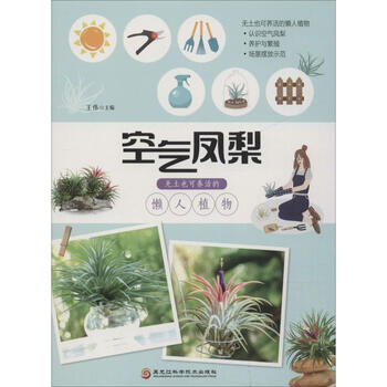 空气凤梨 无土也可养活的懒人植物 王伟