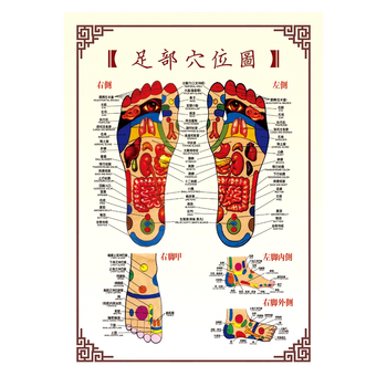 中医养生按摩国家标准足穴挂图脚底足部反射区宣穴位图传画WSA WSA17 足部穴位图 60x80cm  PP覆膜贴纸