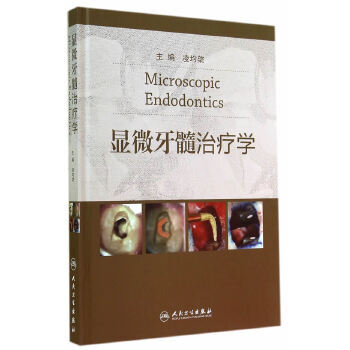 显微牙髓治疗学【正版图书】