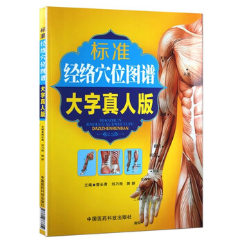 标准经络穴位图谱