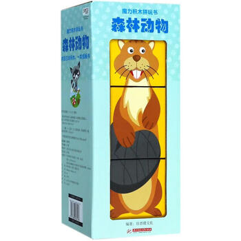 魔力积木拼玩书 佳思漫文化著