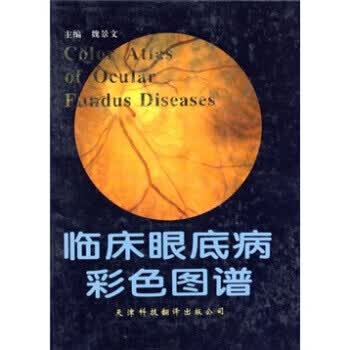 临床眼底病彩色图谱【正版图书】
