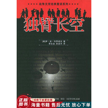 独臂长空——战争文学经典重读系列