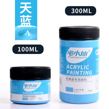 丙烯颜料防水手绘画材料diy墙绘彩绘工具24色画鞋子12色300ml白色炳稀染料不掉色儿童涂鸦丙 天蓝 300ml