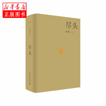 尽头 唐诺 广西师范大学出版社新华书店正版图书