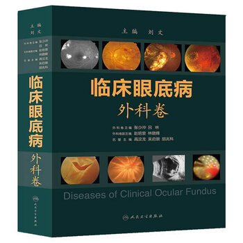 临床眼底病外科卷【正版图书】