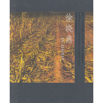 徐晓燕:中国当代美术大系油花卷 水天中 文化艺术出版社 9787503942624