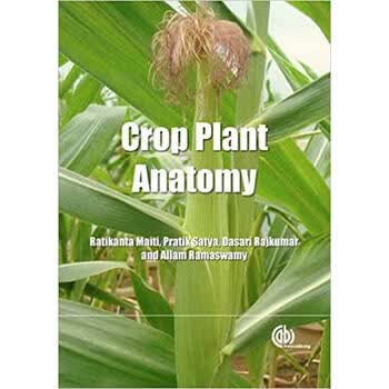 高被引Crop Plant Anatomy