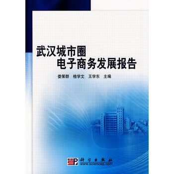 武汉城市圈电子商务发展报告【正版图书】