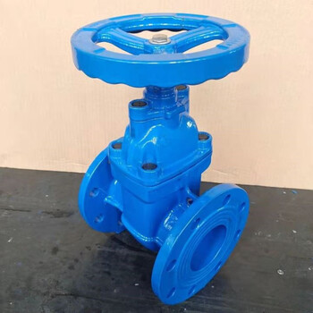 球墨铸铁Z45T-16Q暗杆金属密封闸阀德标F4法兰硬密封铜杆铜芯闸阀 DN300【图片 价格 品牌 报价】-京东