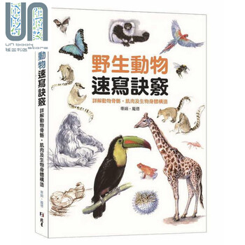 野生动物速写诀窍 详解动物骨骼 肌肉及生物身体构造 港台原版 蒂姆 庞德 北星