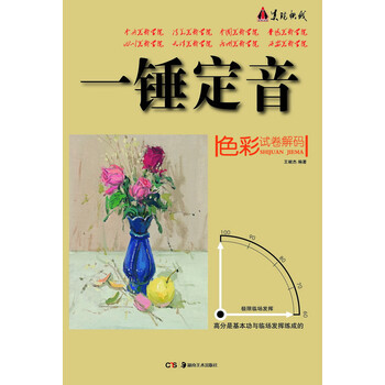 一锤定音系列:色彩试卷解码 王献杰