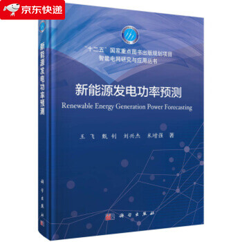 新能源发电功率预测 王飞等 9787030651587