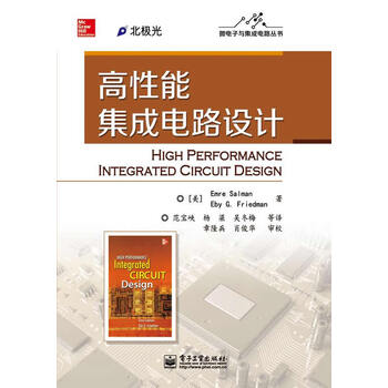 微电子与集成电路丛书:高性能集成电路设计