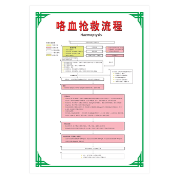 医院制度急救程序挂图过敏性休克抢救流程图示意图墙贴纸WSB169 WSB169-27 60*80cm  PP覆膜贴纸