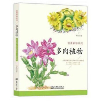 多肉植物浪漫彩铅系列
