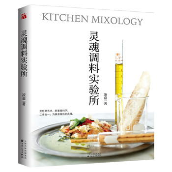 正版 灵魂调料实验所9787530677339