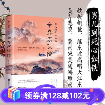 辛弃疾词传 鸿雁著 男儿到死心如铁 唤起明月照我满怀冰雪浩荡百川流 中国古诗词赏析宋词书籍