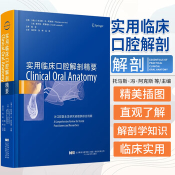 实用临床口腔解剖精要 舌神经和下颌舌骨神经上牙槽中神经及动脉托马斯冯阿克斯等主编 辽宁科学技