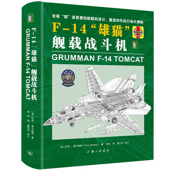 F-14“雄猫”舰载战斗机 猫党看过来