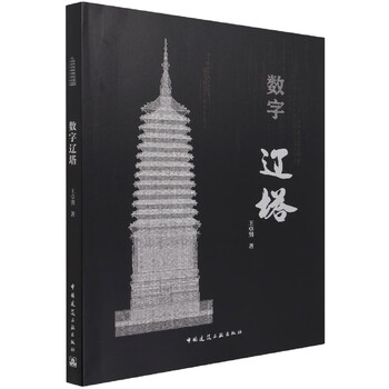 数字辽塔 王卓男