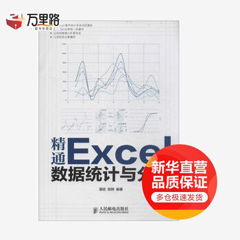 精通Excel数据统计与分析