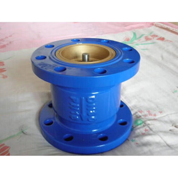 上海沪工阀门HC41X-16Q法兰消声止回阀球墨铸铁立式止回阀DN100龙 DN65【图片 价格 品牌 报价】-京东