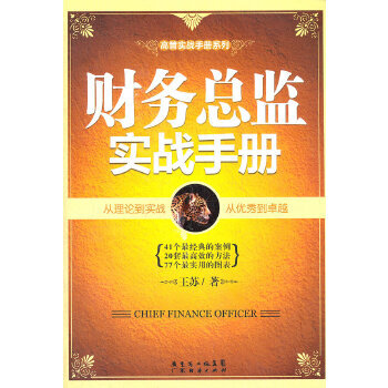 财务总监实战手册