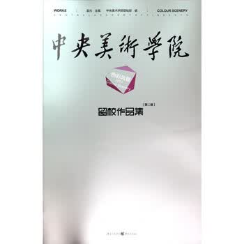 色彩风景(NO.2)/中央美术学院留校作品集