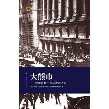 大熊市:危机市场生存与盈利法则