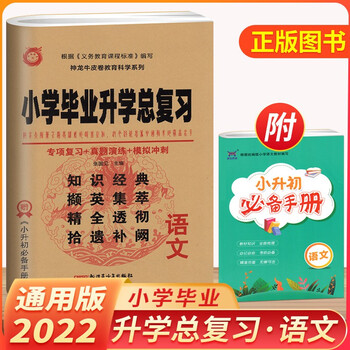 正版送运费险 2022新版神龙牛皮卷 小学毕业升学总复习 小学语文部编人教版