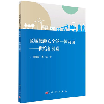 区域能源安全的一体两面--供给和消费