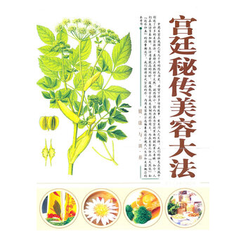 秘传美容大法【正版图书】