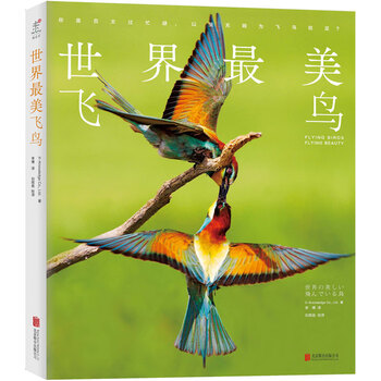 世界美飞鸟