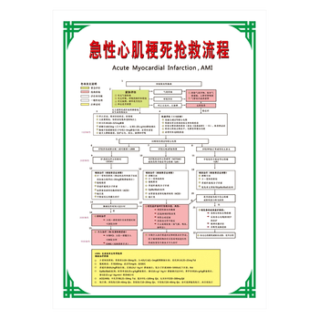 医院制度急救程序挂图过敏性休克抢救流程图示意图墙贴纸WSB169 WSB169-26 70*100cm  PP覆膜贴纸