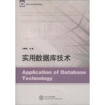 实用数据库技术 王振海