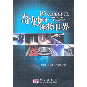 奇妙的摩擦世界 崔海霞,陈建敏,周惠娣著