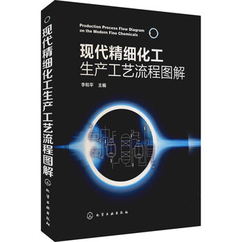 现代精细化工生产工艺流程图解 图书