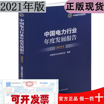 2021中国电力行业年度发展报告（统计年鉴） 2021年版