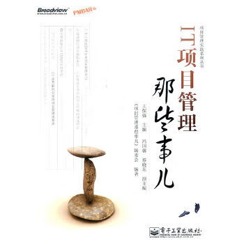 IT项目管理那些事儿【正版图书】
