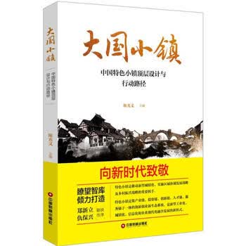 大国小镇陈光义 主编