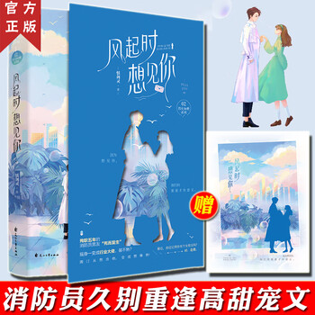 【赠明信片】 风起时想见你 恬剑灵 大鱼文化图书 系列现代都市情感青春文学消防员爱情久别重逢高甜宠文
