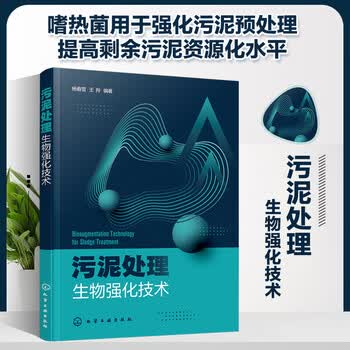 污泥处理生物强化技术