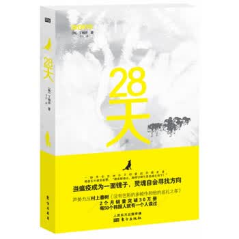 28天（长篇小说）（韩）丁
