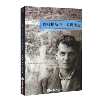 维特根斯坦：关键概念