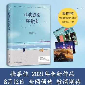 张嘉佳新书 张嘉佳的书全套 让我留在你身边