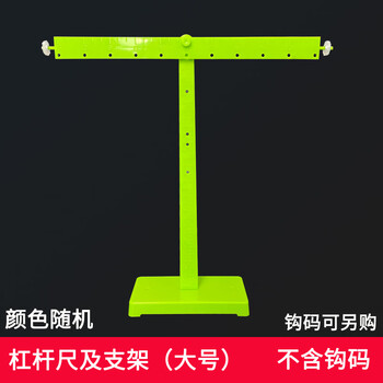 2022新款铝合金杠杆尺及支架套装带刻度金属钩码组合钩码塑料杠杆初高中物理力学实验杠杆平衡原理演示器 杠杆尺及支架-大号（颜色随机）